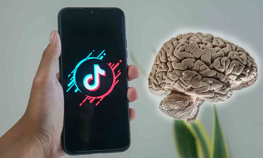 Từ việc Tiktok đối mặt lệnh cấm ở Mỹ, chuyên gia chỉ ra tác hại của ...