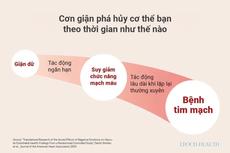 Tim và đại não luôn ghi nhớ từng khoảnh khắc nóng giận - Minh Chân Tướng